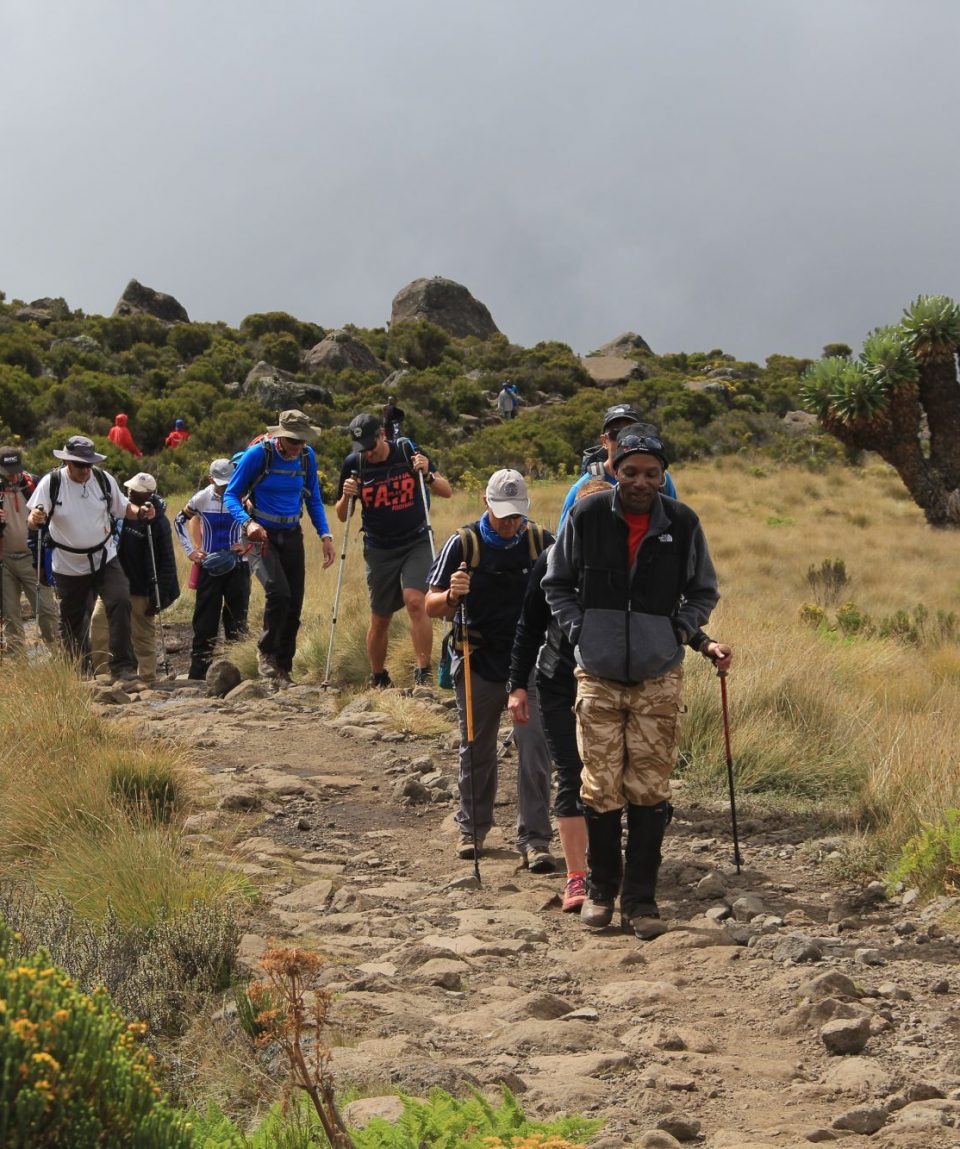 Kilimanjaro | Rongai Route – Freedom Trail Treks